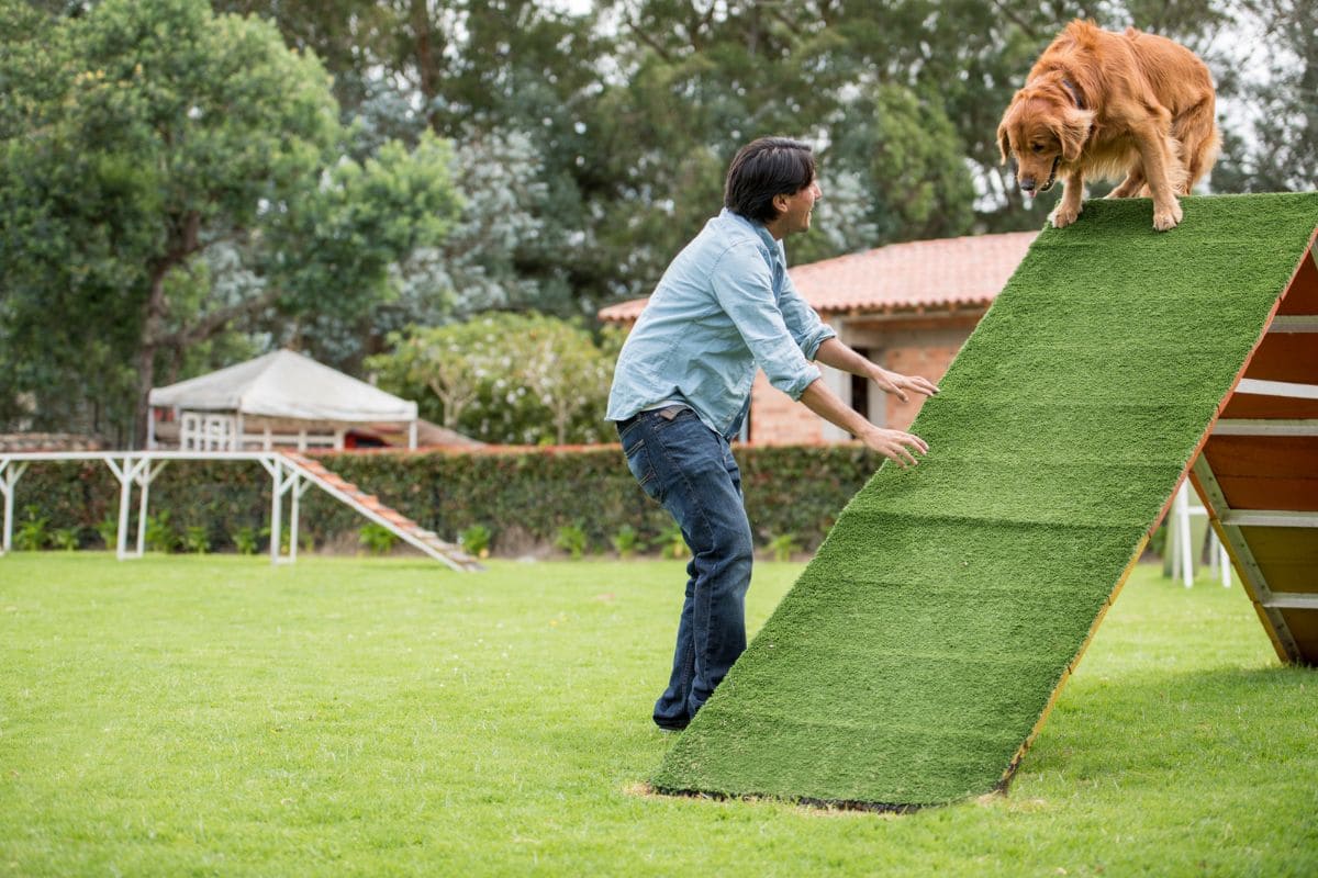 17 Ideal Peaceful Jobs For Introverts With Anxiety