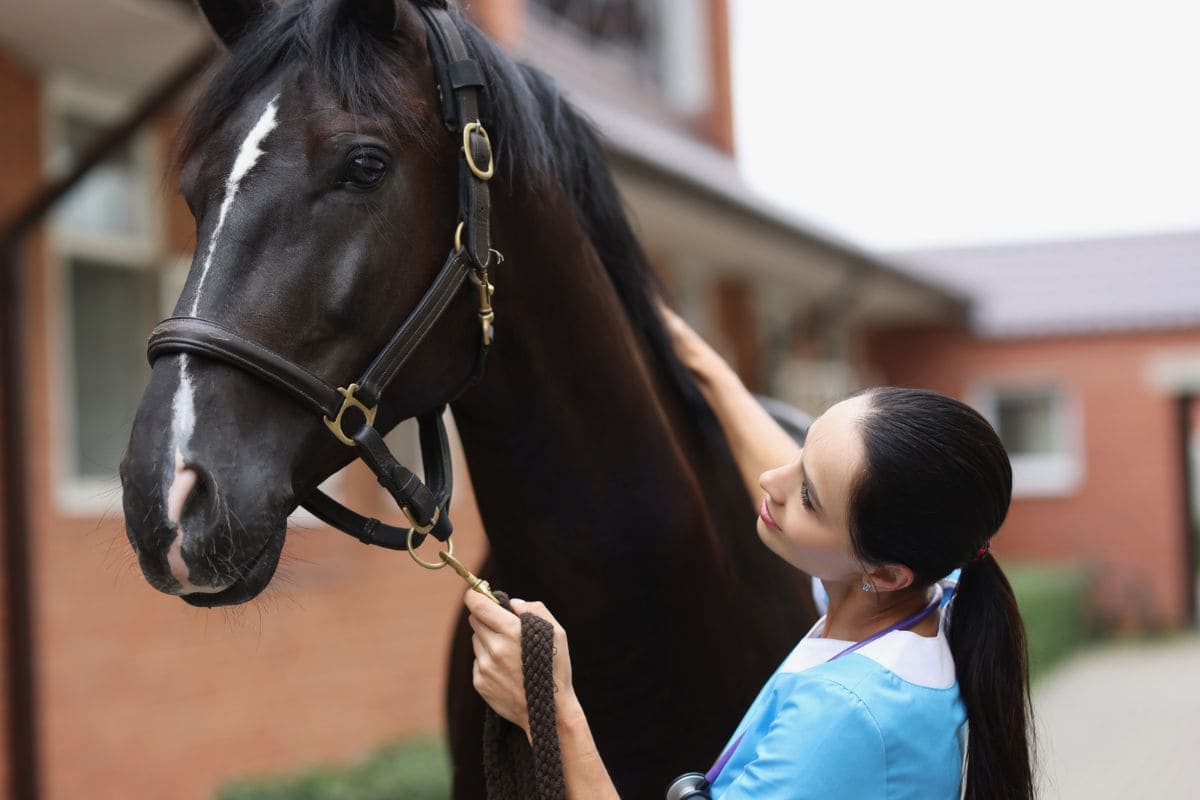 17 Ideal Peaceful Jobs For Introverts With Anxiety