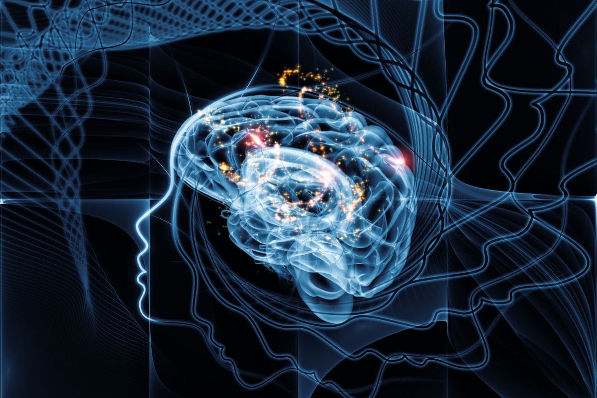 Introvert Quotes: 100+ Sayings And Quotes For Introspective People