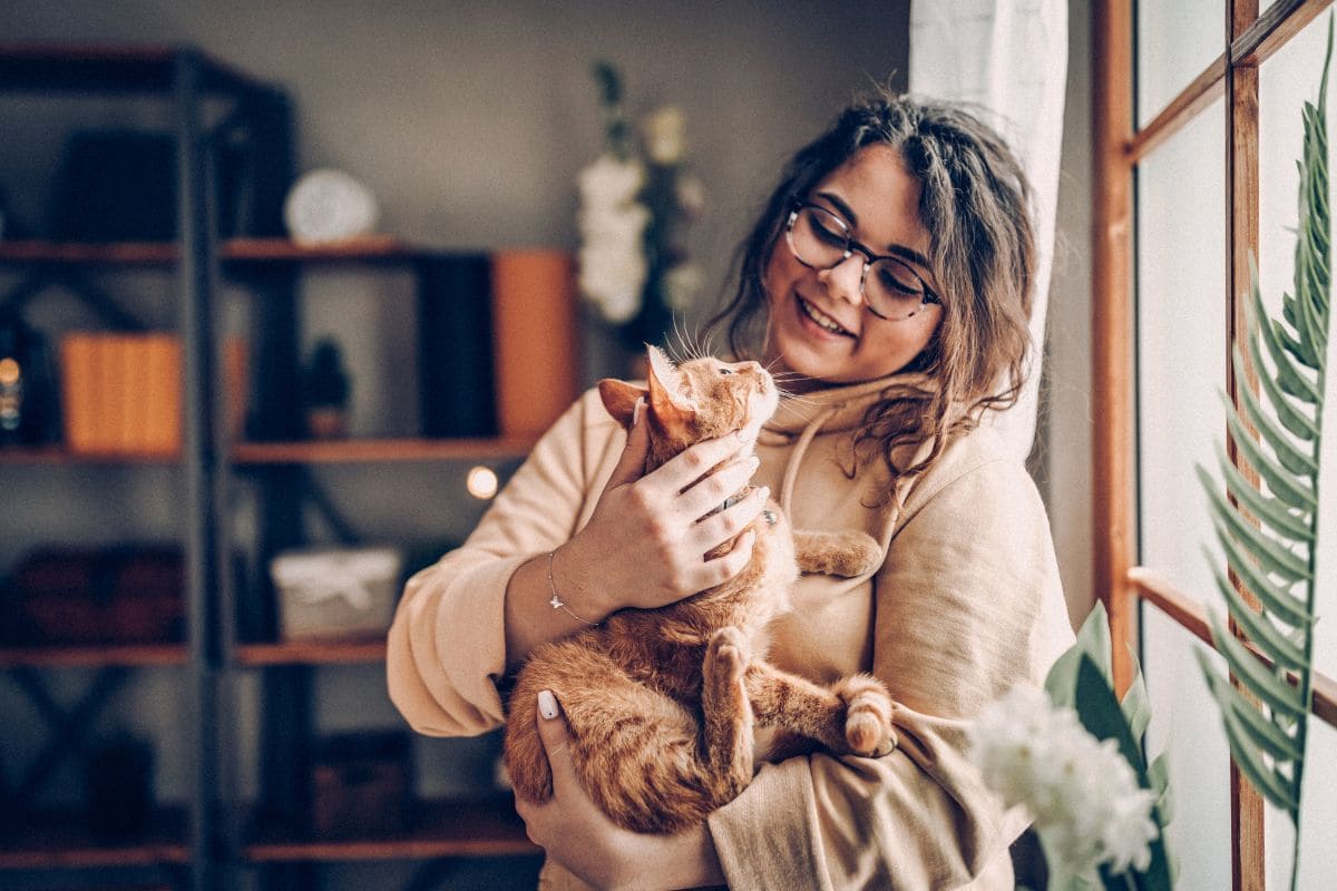 6 Surprising Ways Introverts And Cats Are Exactly The Same
