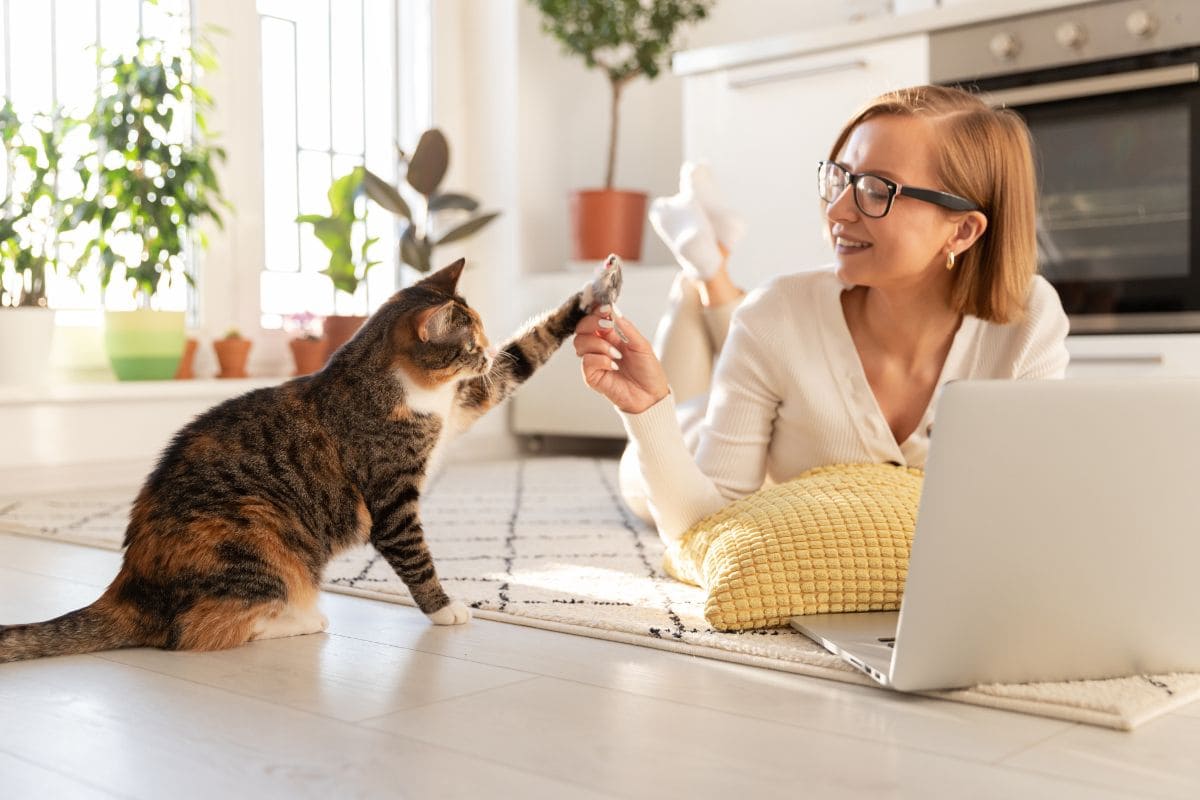 6 Surprising Ways Introverts And Cats Are Exactly The Same