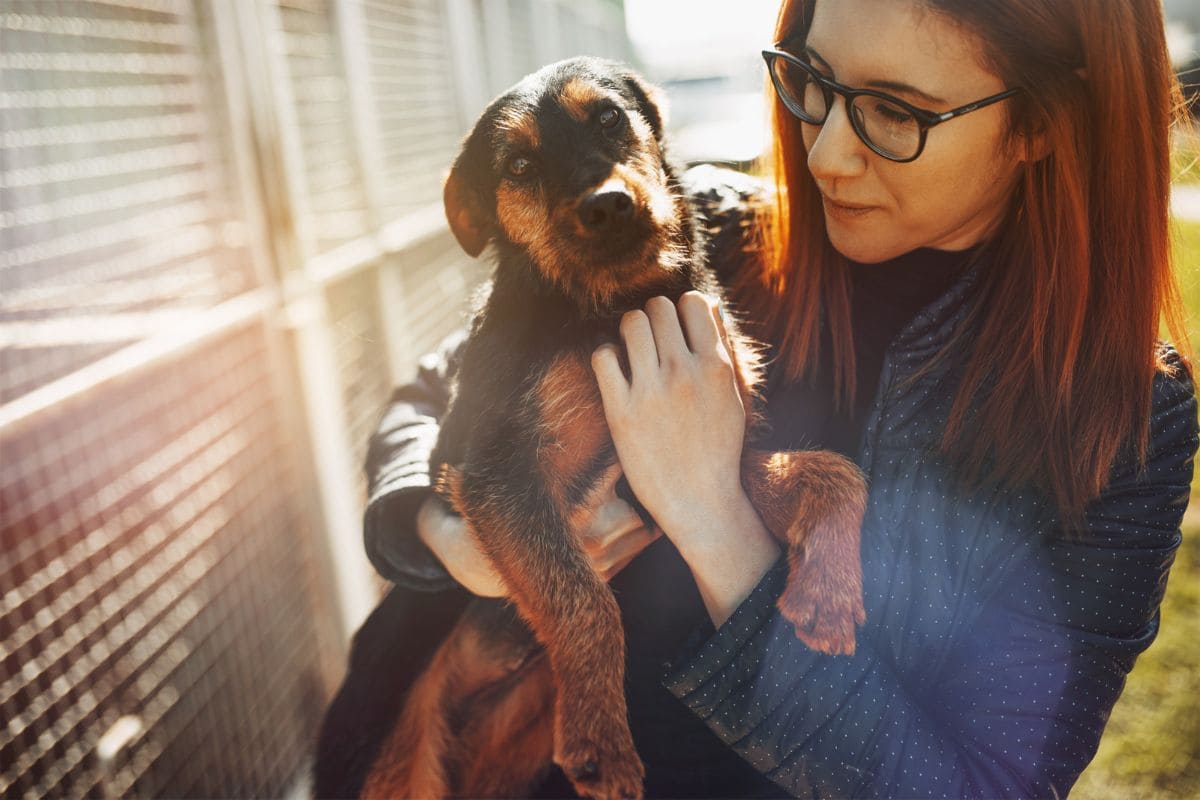 18 Best Hobbies For Introverts: Things To Do Alone