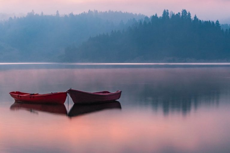 Quiet Quotes: Embrace The Power Of Silence