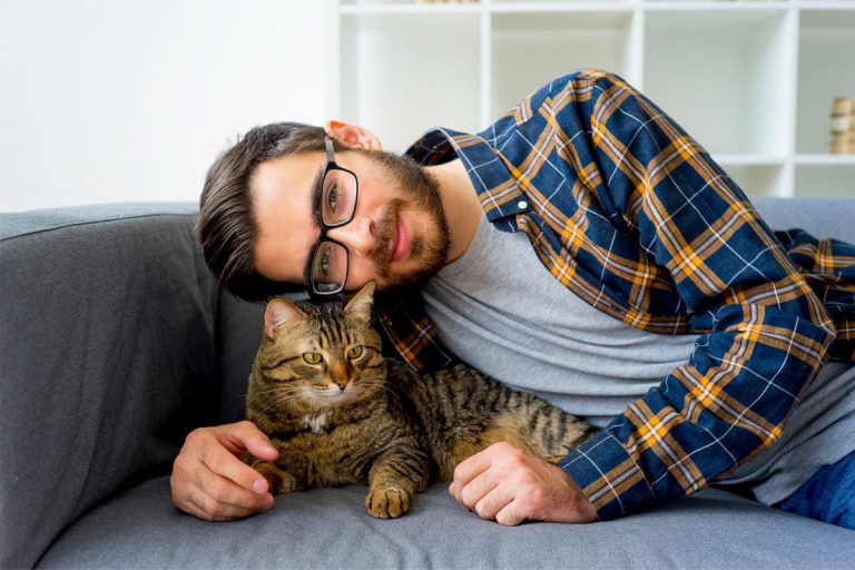 6 Surprising Ways Introverts And Cats Are Exactly The Same