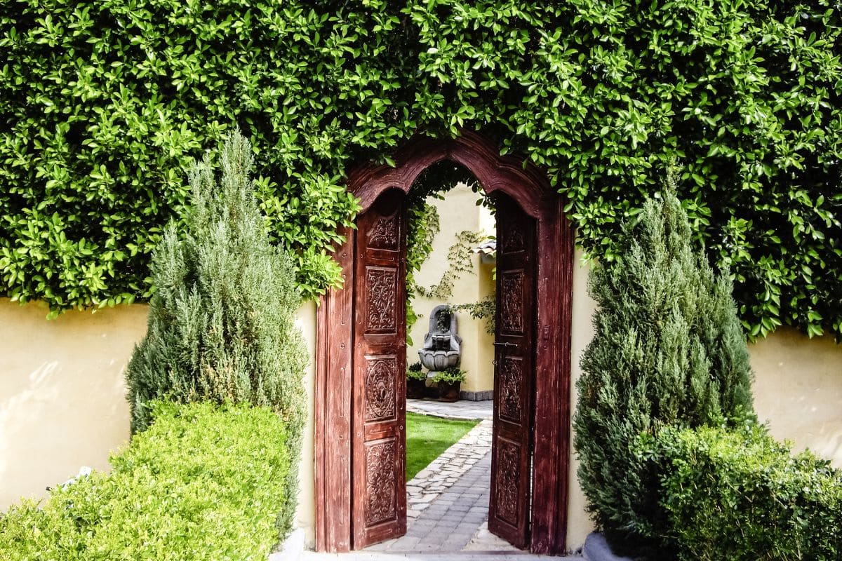 14 Ways Hyper-Observant People See The World Differently