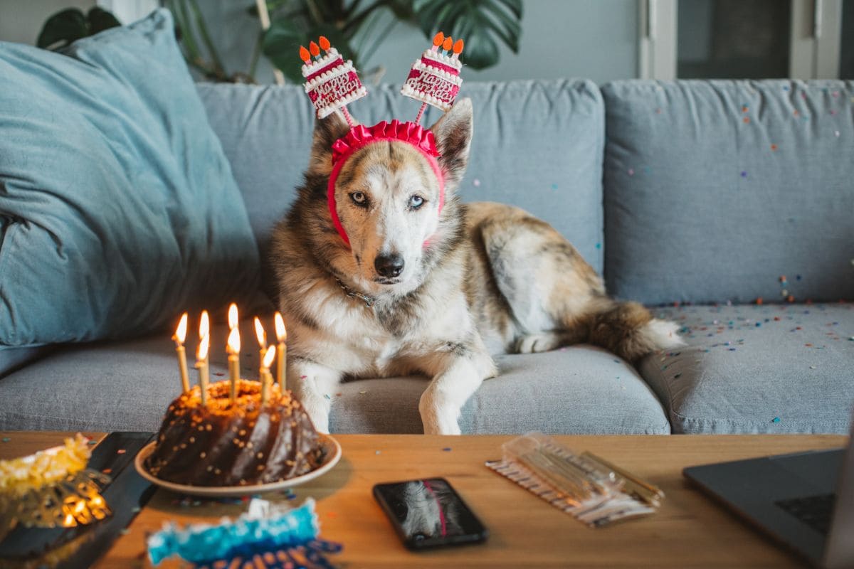 11 Introvert-Friendly Birthday ‘Party’ Ideas